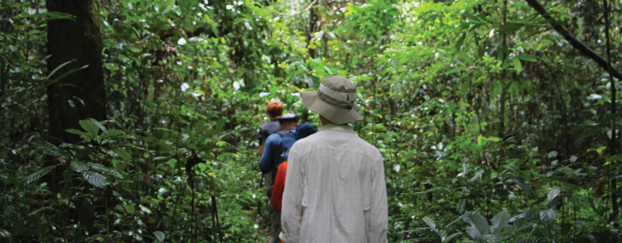 Homepage | College of Forestry