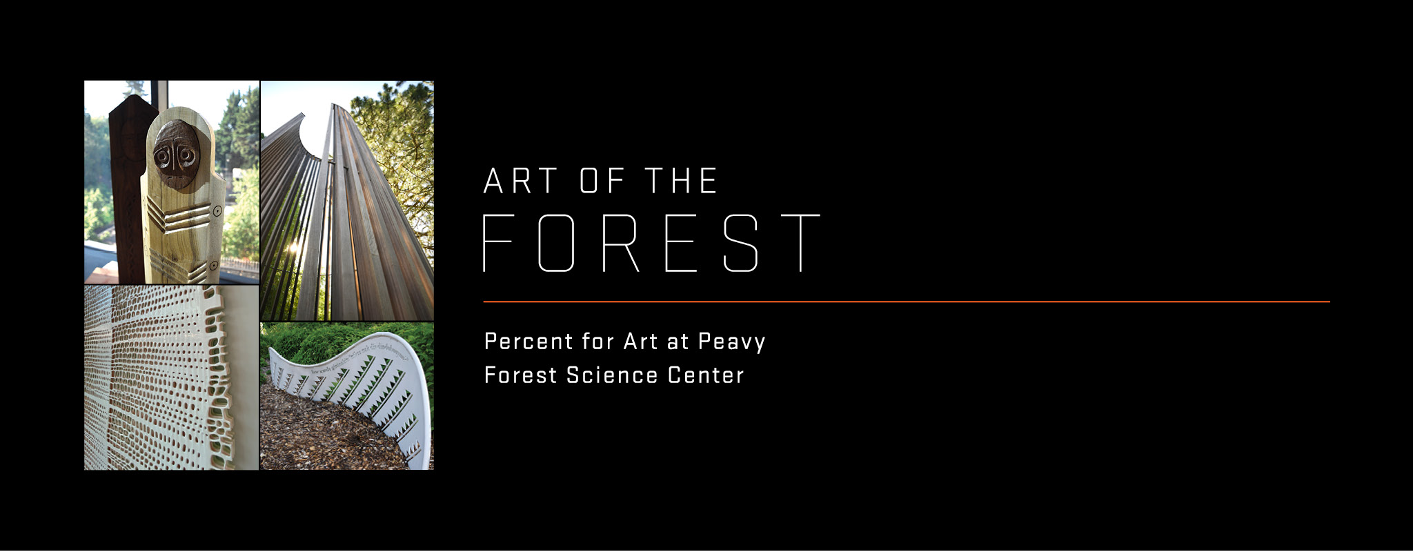 Homepage | College of Forestry