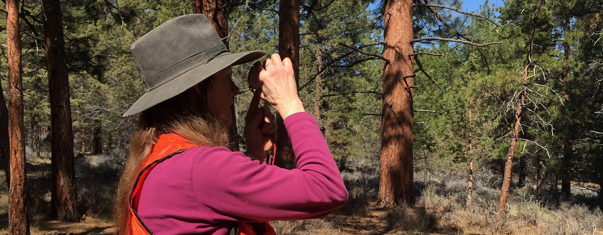 Forestry and Natural Resources Extension | College of Forestry Forestry and Natural Resources Extension | College of Forestry