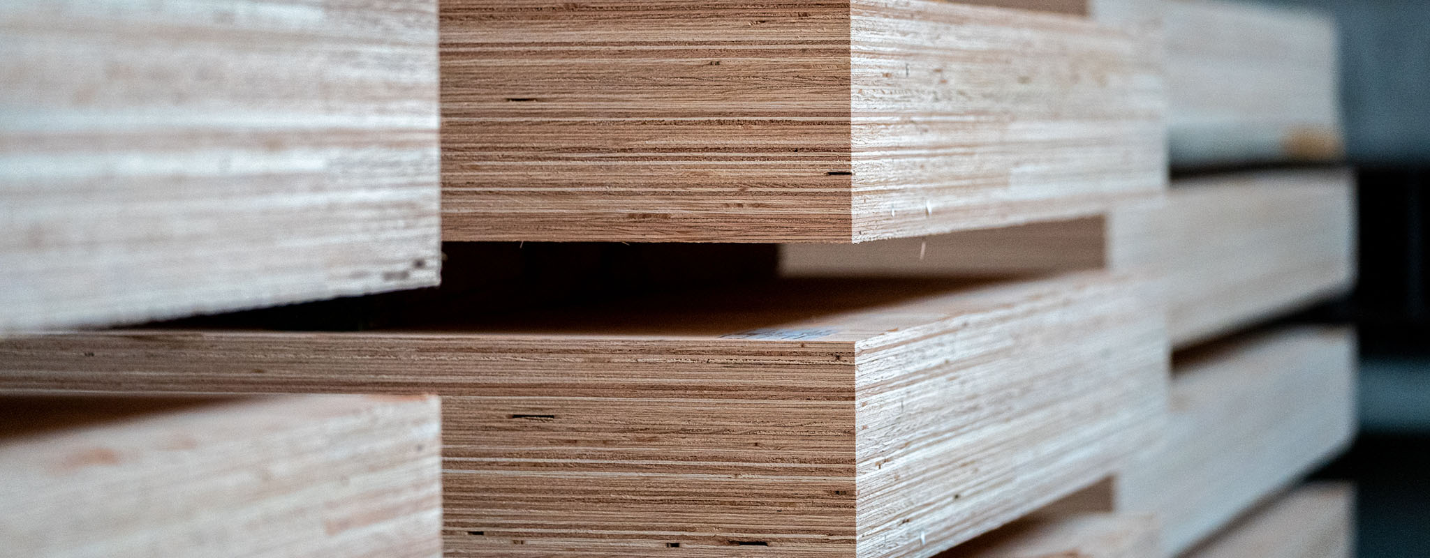 Research | College of Forestry