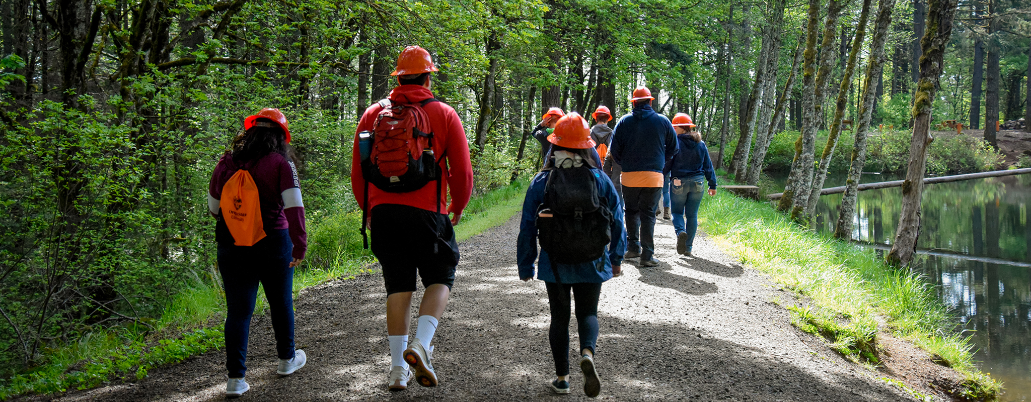 Forest Engineering Degree | College of Forestry Forest Engineering Degree | College of Forestry